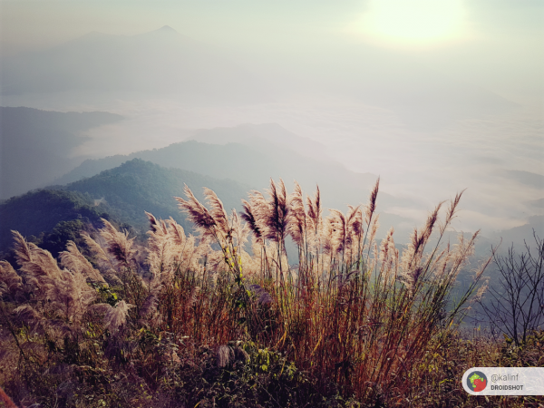 รวมภาพสวยจากกล้อง Android ผ่านแอป DroidShot ประจำสัปดาห์ที่ 30 | techfeedthai