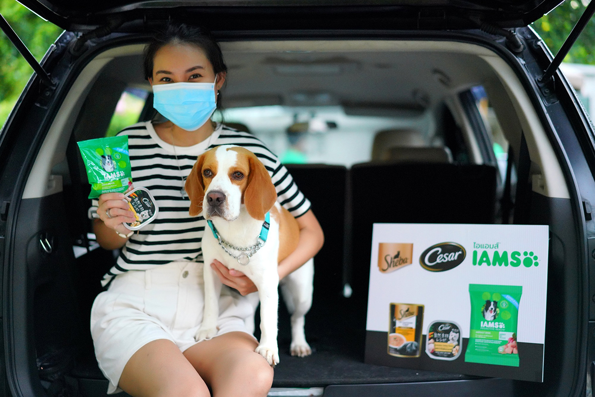 เปิดตัว GrabPet บริการใหม่จาก Grab เรียกรถรับส่งพาสัตว์เลี้ยงแสนรักไป ...