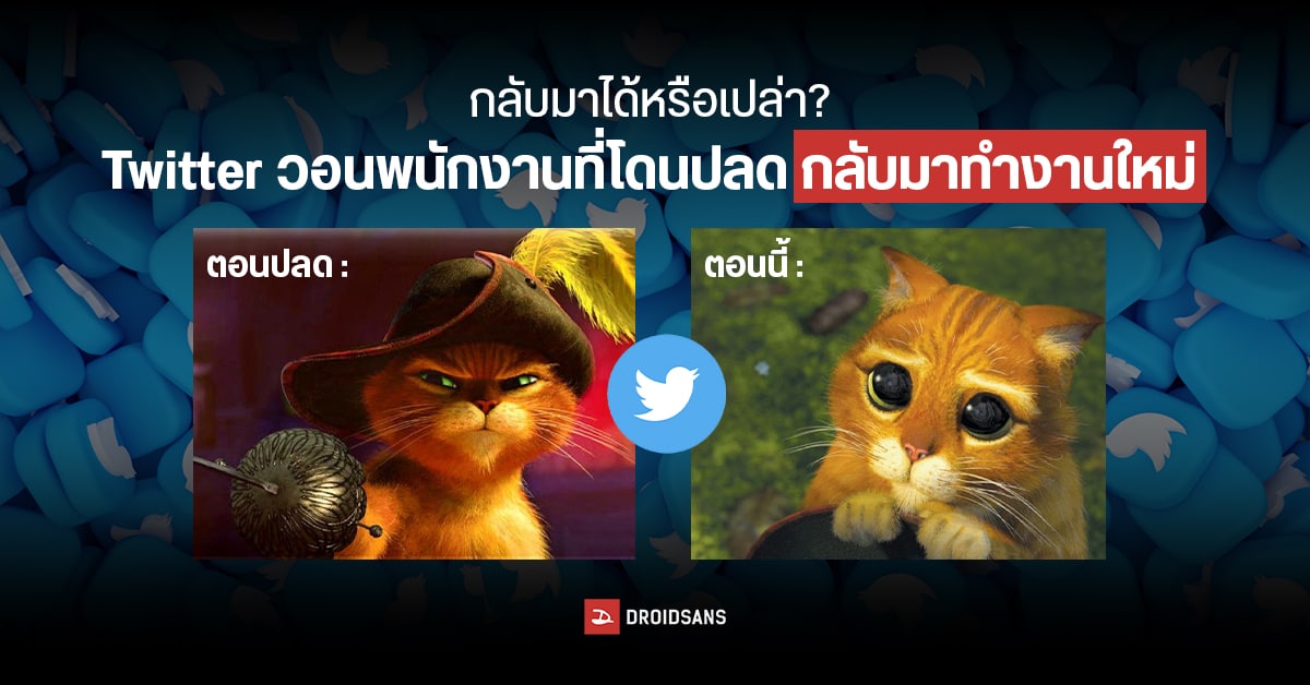 เผย Twitter ขอให้พนักงานบางส่วนที่โดนปลดออก กลับมาทำงานใหม่อีกครั้ง | techfeedthai