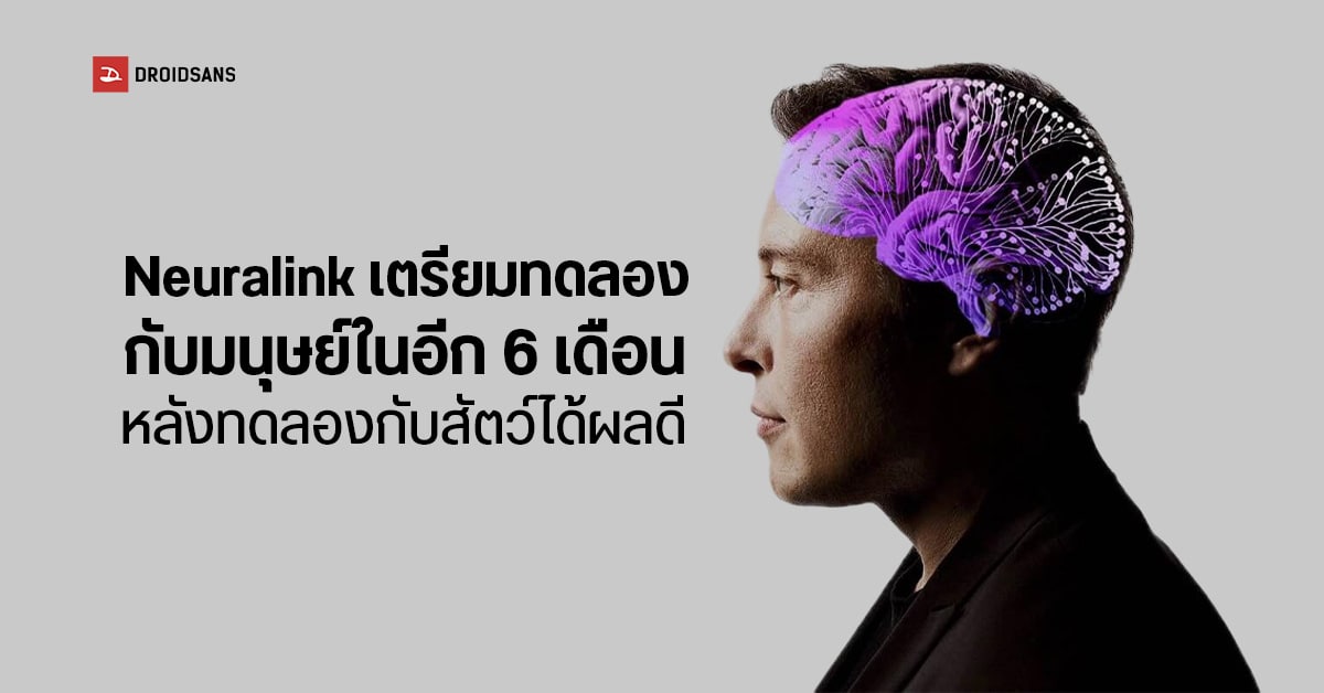 Neuralink ใกล้ทดลองใช้กับสมองมนุษย์ในอีก 6 เดือน คาดช่วยคนพิการขยับตัว คืนการมองเห็นคนตาบอด ...